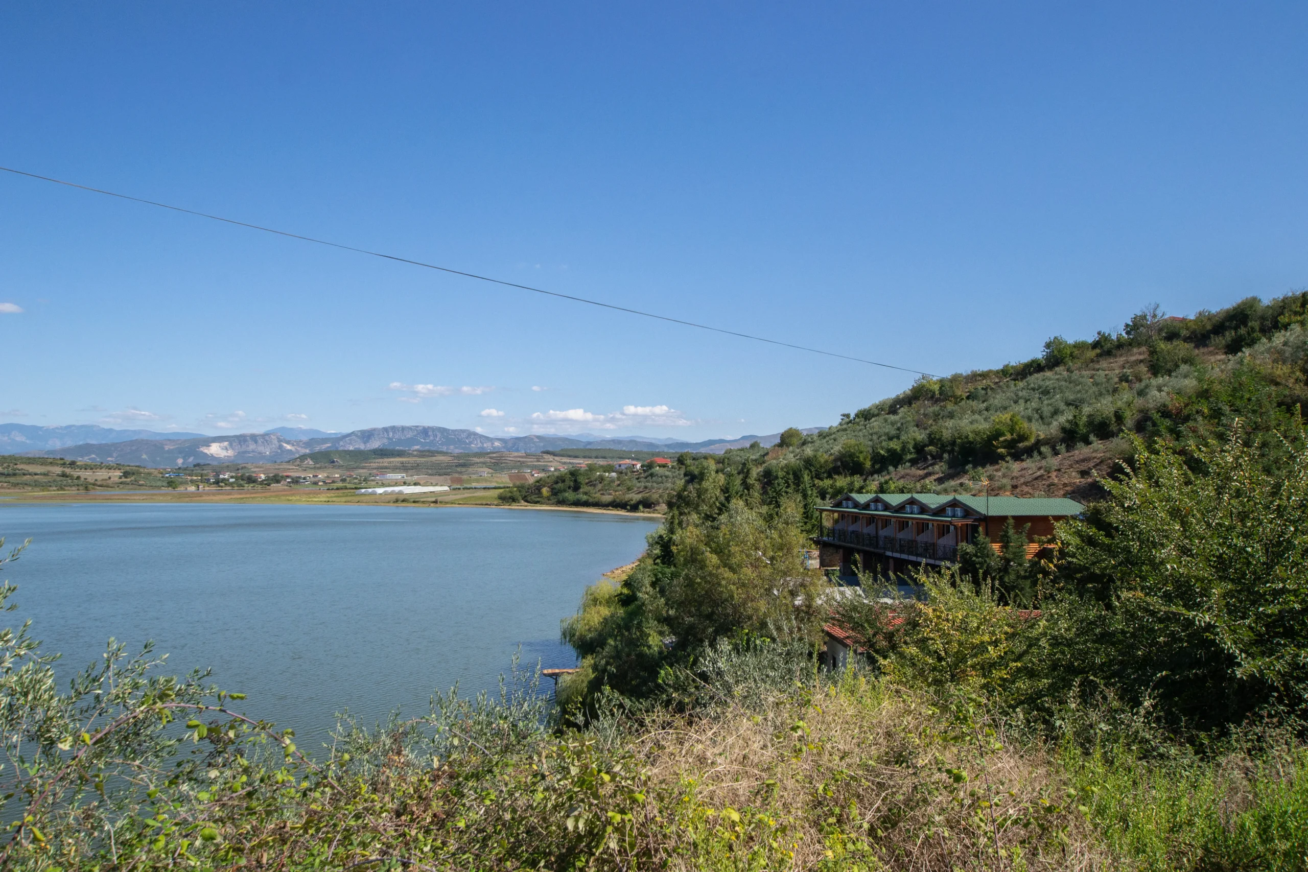 Seferan Aphrodite and Lilies - Visit Belsh